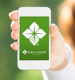 Payment Options | Farm Credit of Florida