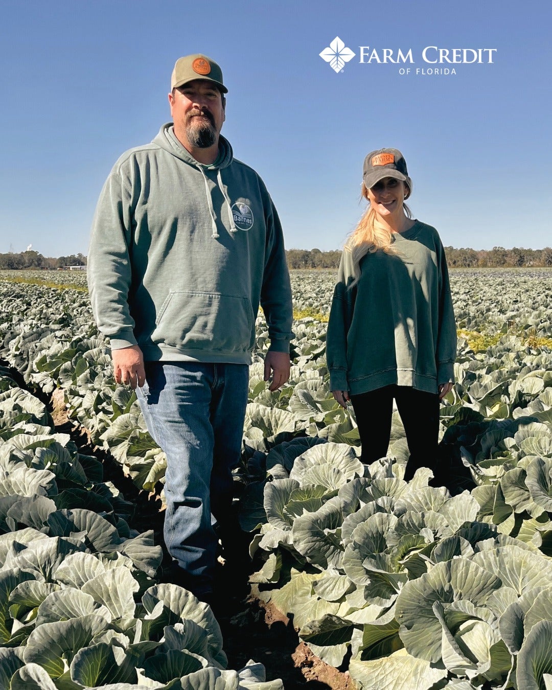 Barnes Family Cabbage Farm in Hastings, Florida: Fighting the Freeze ...