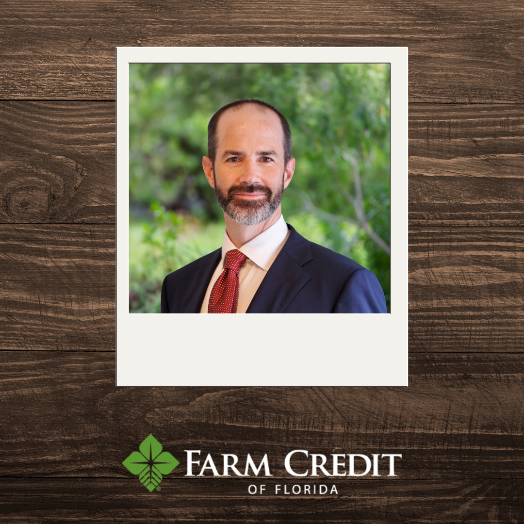 Farm Credit of Florida Announces John Gregory as Next CEO | Farm Credit ...
